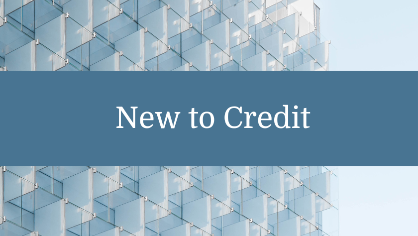 New to Credit - CreditSights